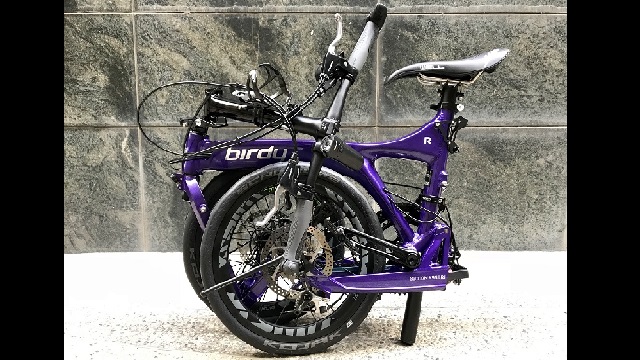 Birdy R 3代鳥車，全車大改裝。 | 城市綠洲